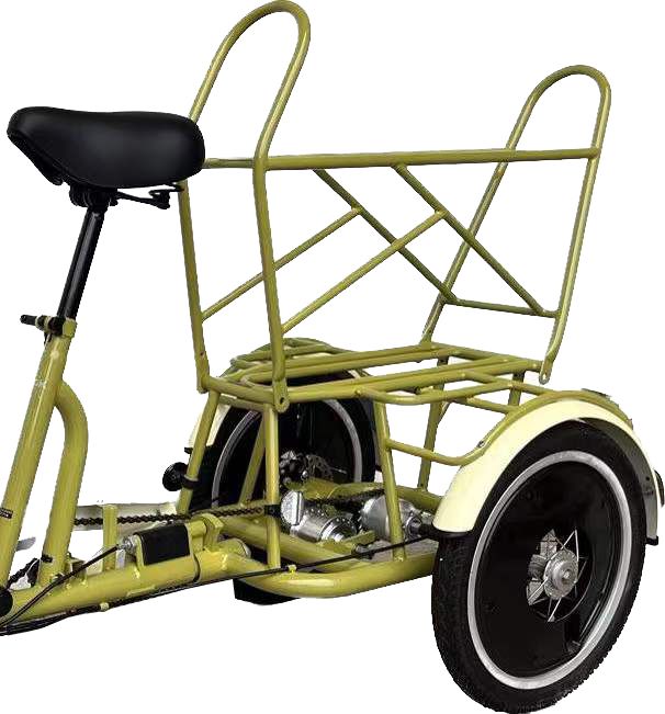 Japan OEM Inter 3 Tricycle (Japan standard) – Ebike.sg